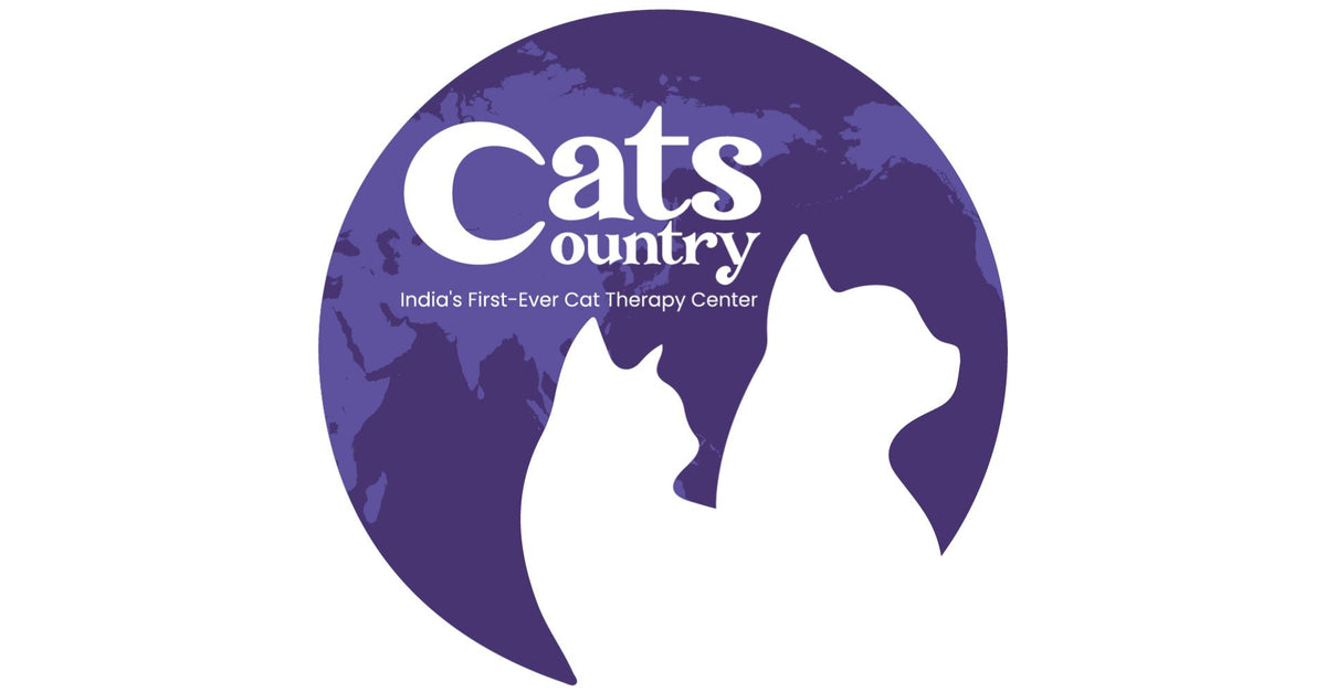 Fun Cat Birthday Party Hyderabad | Celebrate in Style – CatsCountry.IN